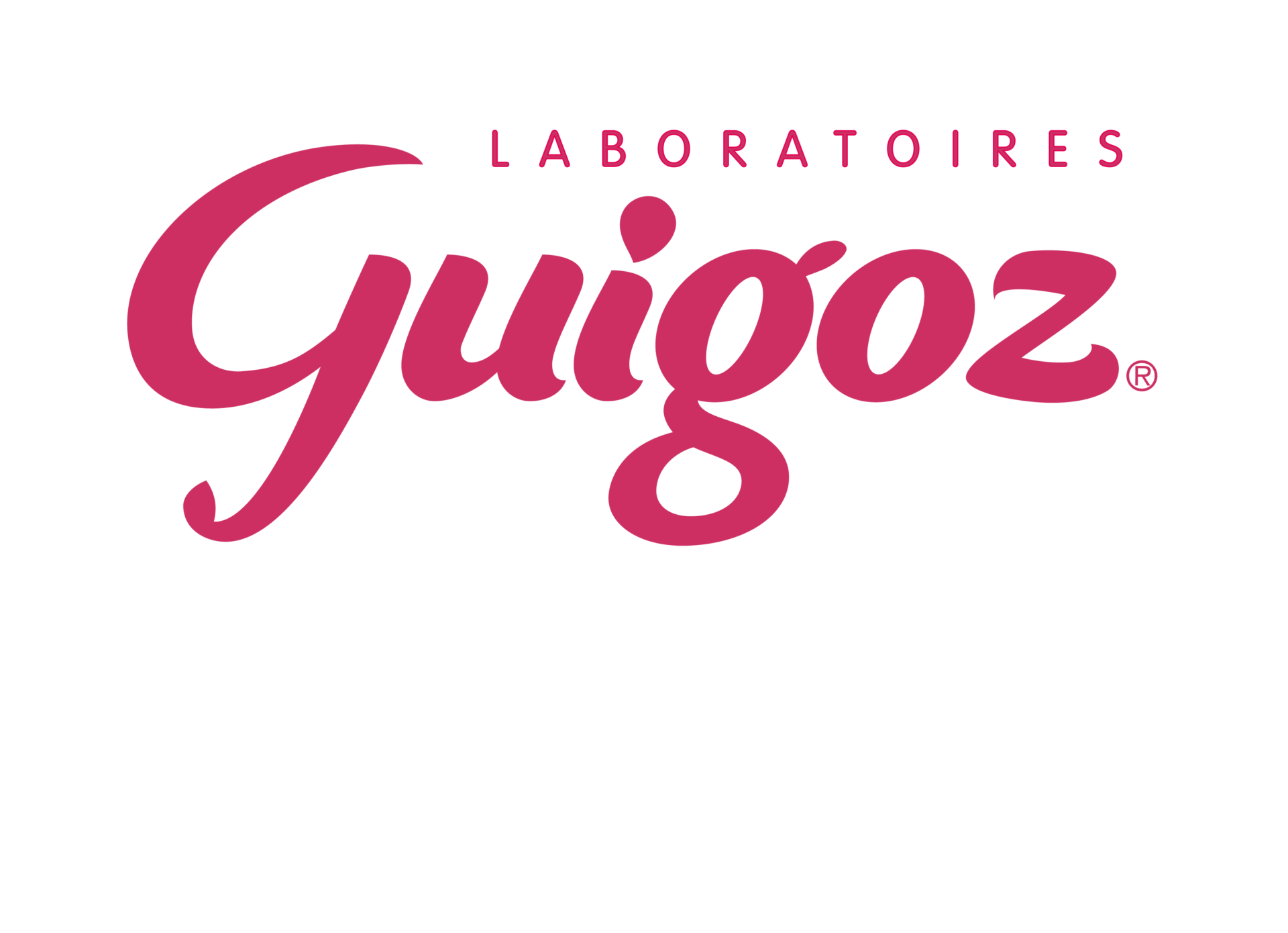 New-logo-Guigoz - JLARGO